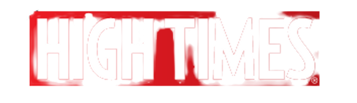 High Times: Clothing, Shoes & Accessories | WHAT’S ON THE STAR?