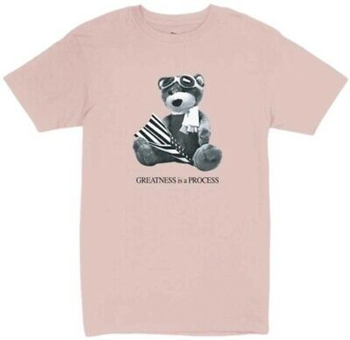Paper Planes Greatness Is A Process “Aviator Bear” Washed Pink T-Shirt ...