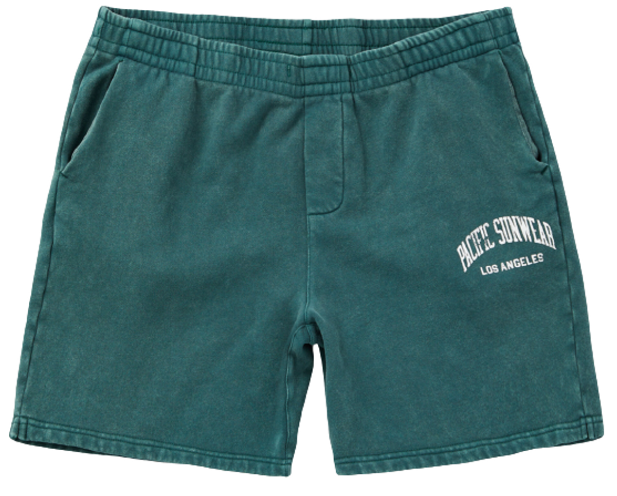 PacSun Collegiate Sweatshorts | WHAT’S ON THE STAR?