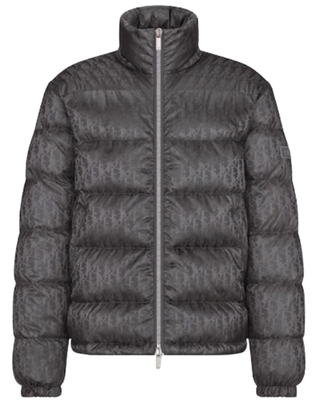 Dior Oblique Gray Nylon Jacquard Down Jacket | WHAT’S ON THE STAR?