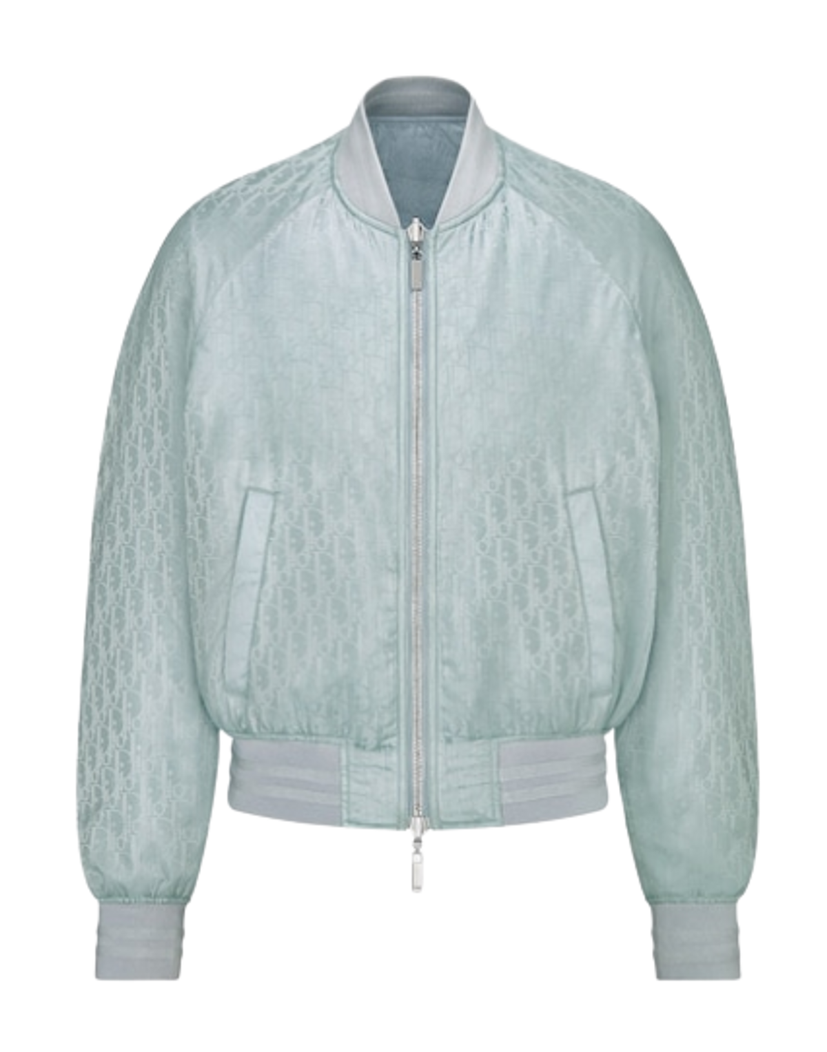 Dior Reversible Oblique Jacket | WHAT’S ON THE STAR?