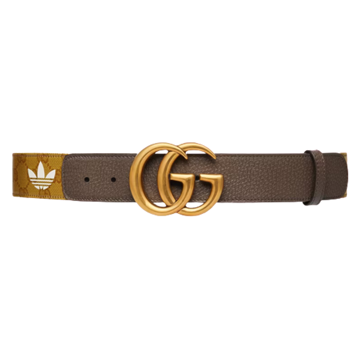 gucci-adidas-brown-marmont-belt-what-s-on-the-star