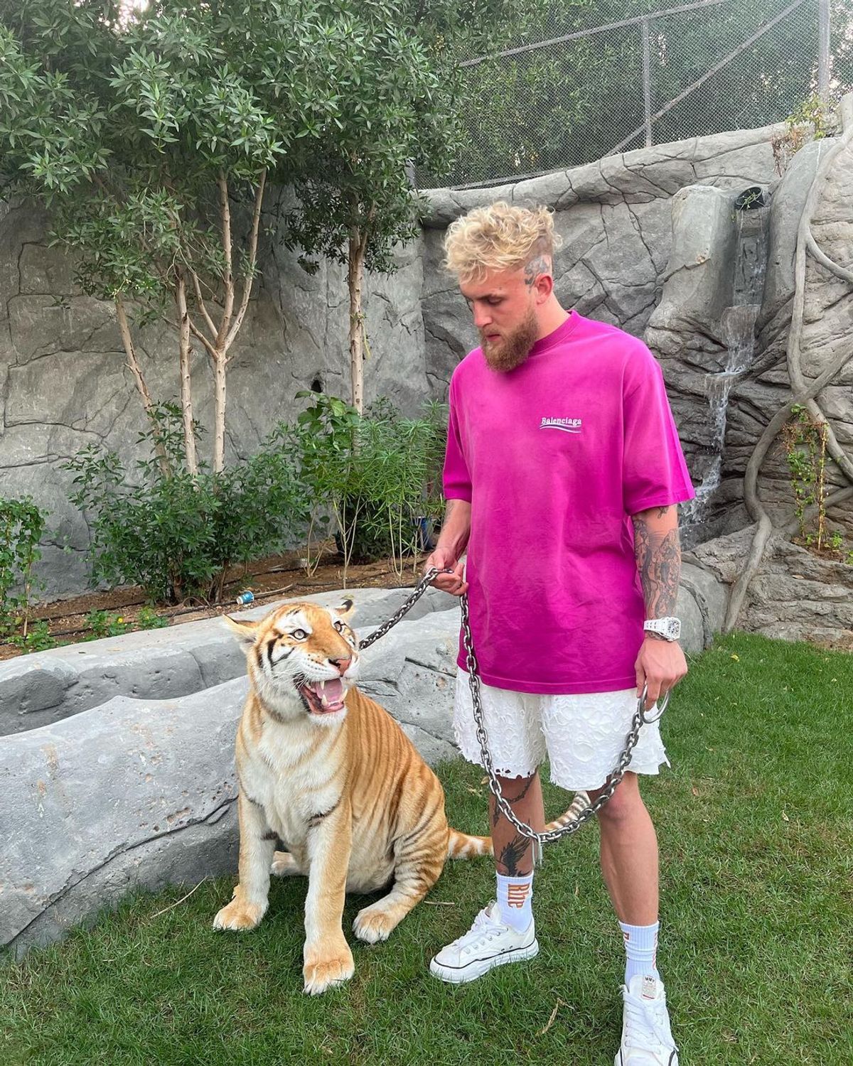 Jake Paul Outfit from November 15, 2022 | WHAT’S ON THE STAR?