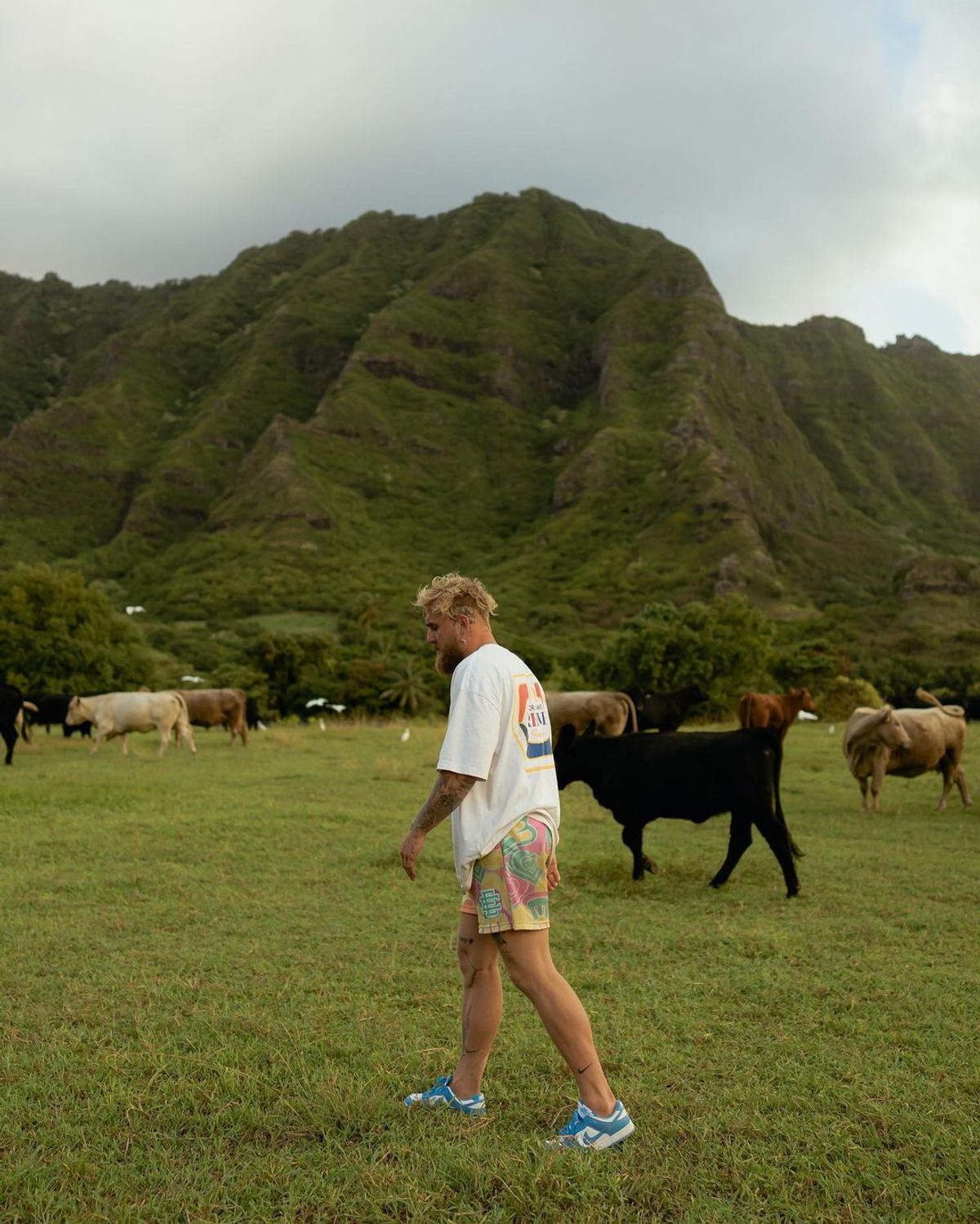 Jake Paul Outfit from November 27, 2022 | WHAT’S ON THE STAR?