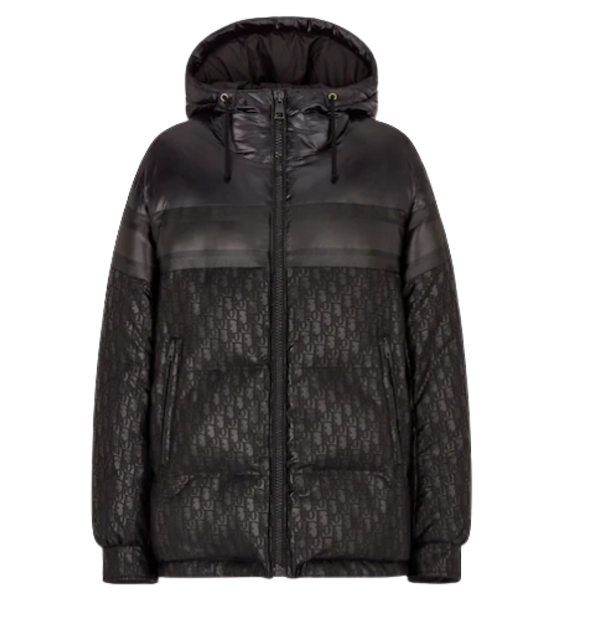 Dior Black Oblique Long Down Jacket | WHAT’S ON THE STAR?