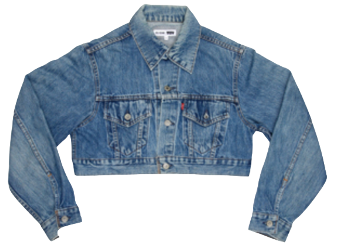 Re/Done Croped Denim Jacket | WHAT’S ON THE STAR?