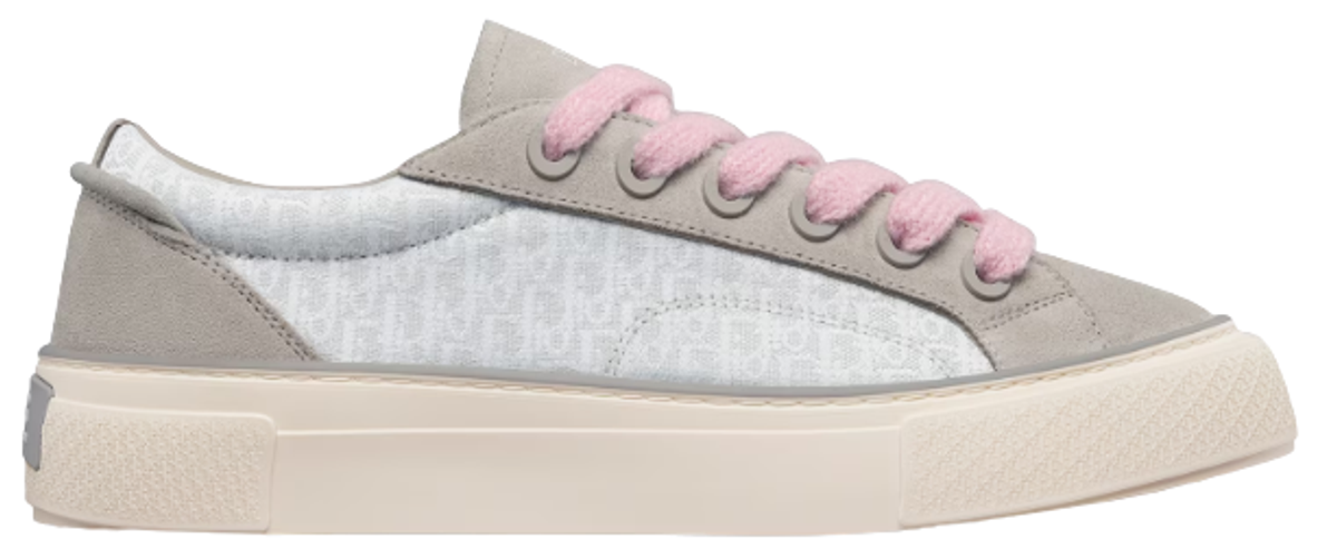 Dior Gray And White B33 Sneakers | WHAT’S ON THE STAR?