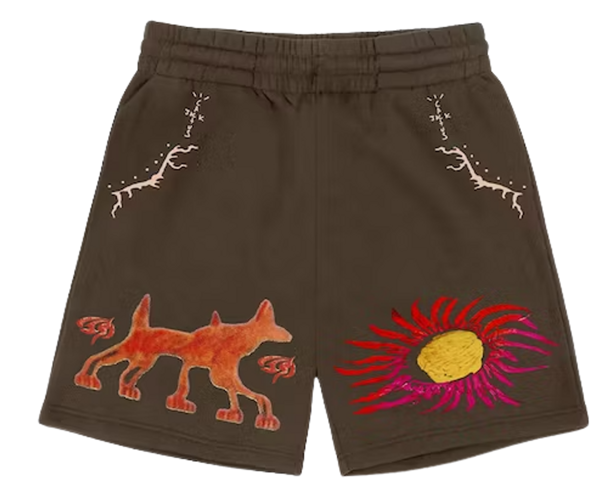 Cactus Jack Sun Brown Shorts | WHAT’S ON THE STAR?
