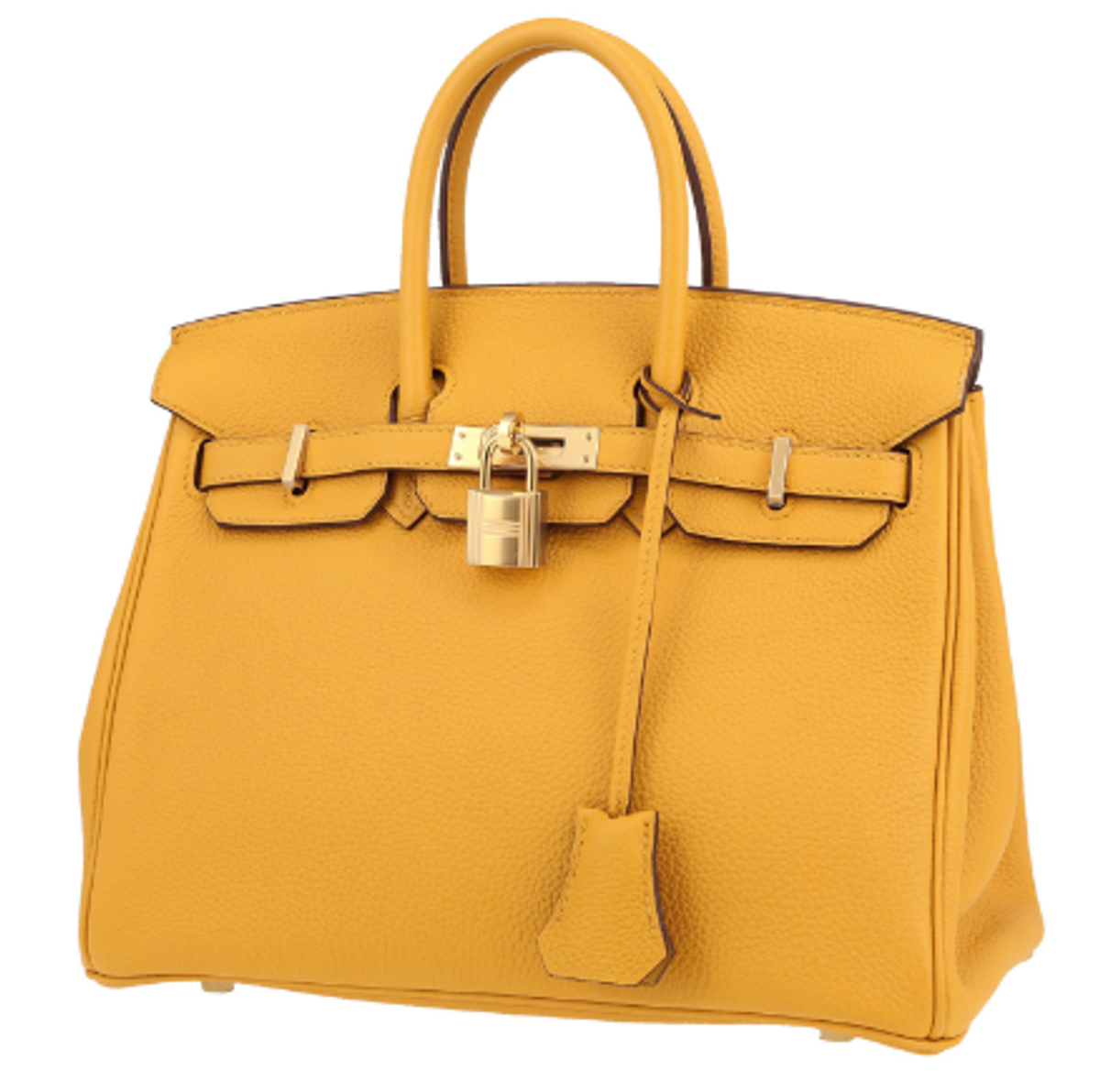 Hermes Yellow Birkin 25 Handbag | WHAT’S ON THE STAR?