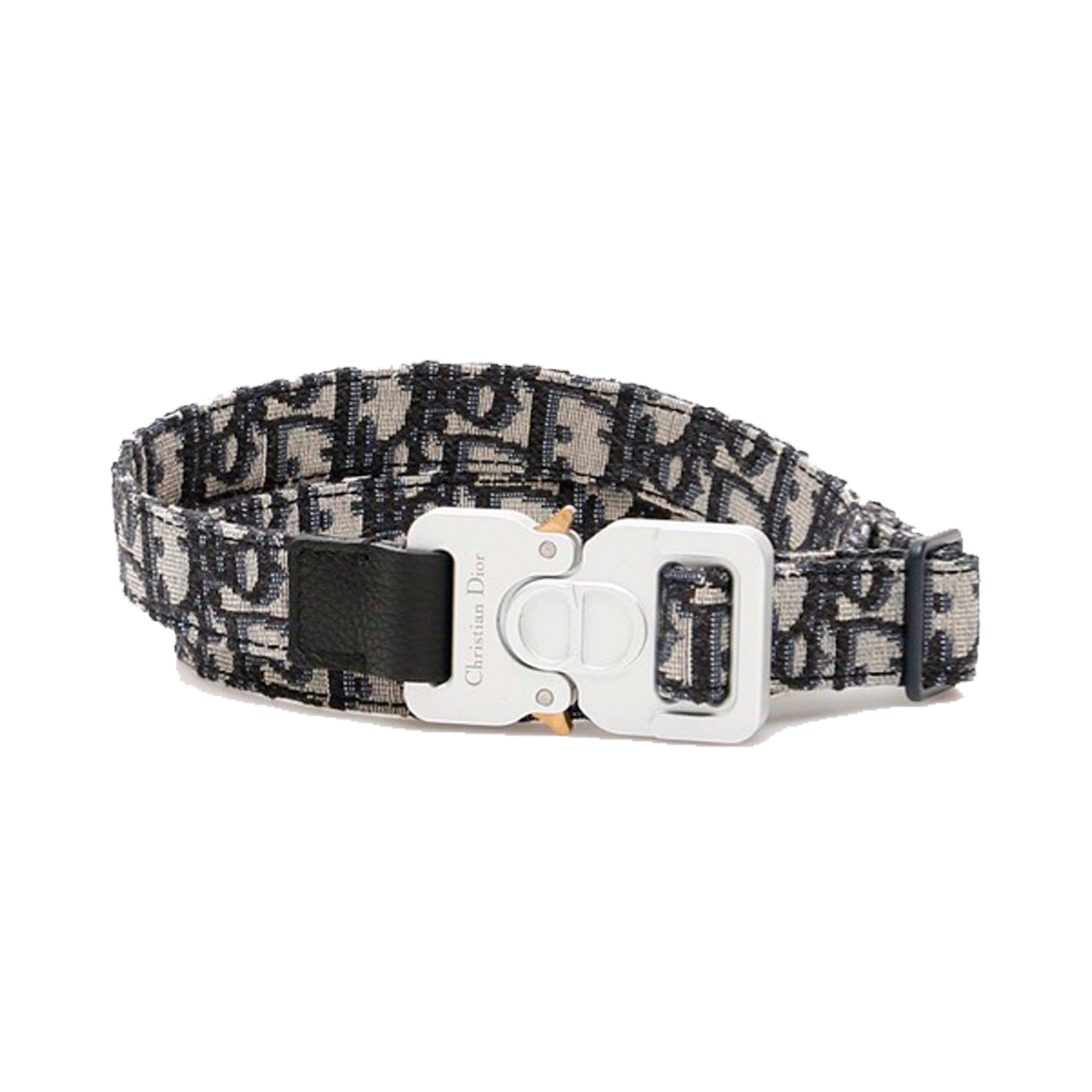 Dior Oblique Canvas Logo Belt | WHAT’S ON THE STAR?